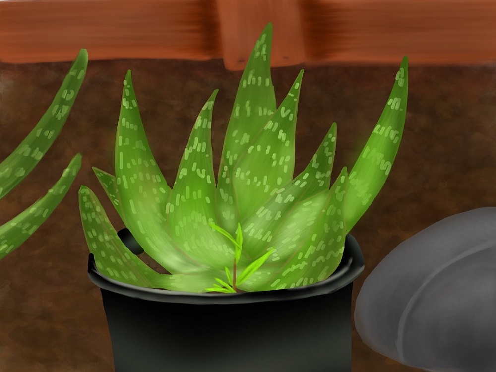 Michelle's Art Portfolio